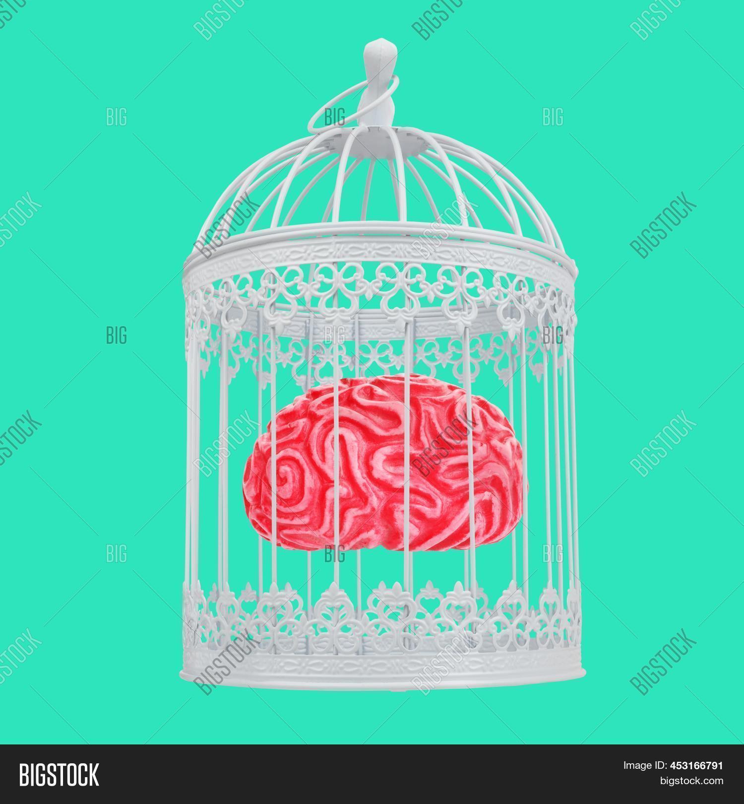 Human Brain Caged Image & Photo (Free Trial) | Bigstock