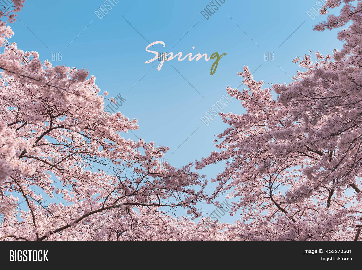 Spring Postcard Spring Image & Photo (Free Trial) | Bigstock