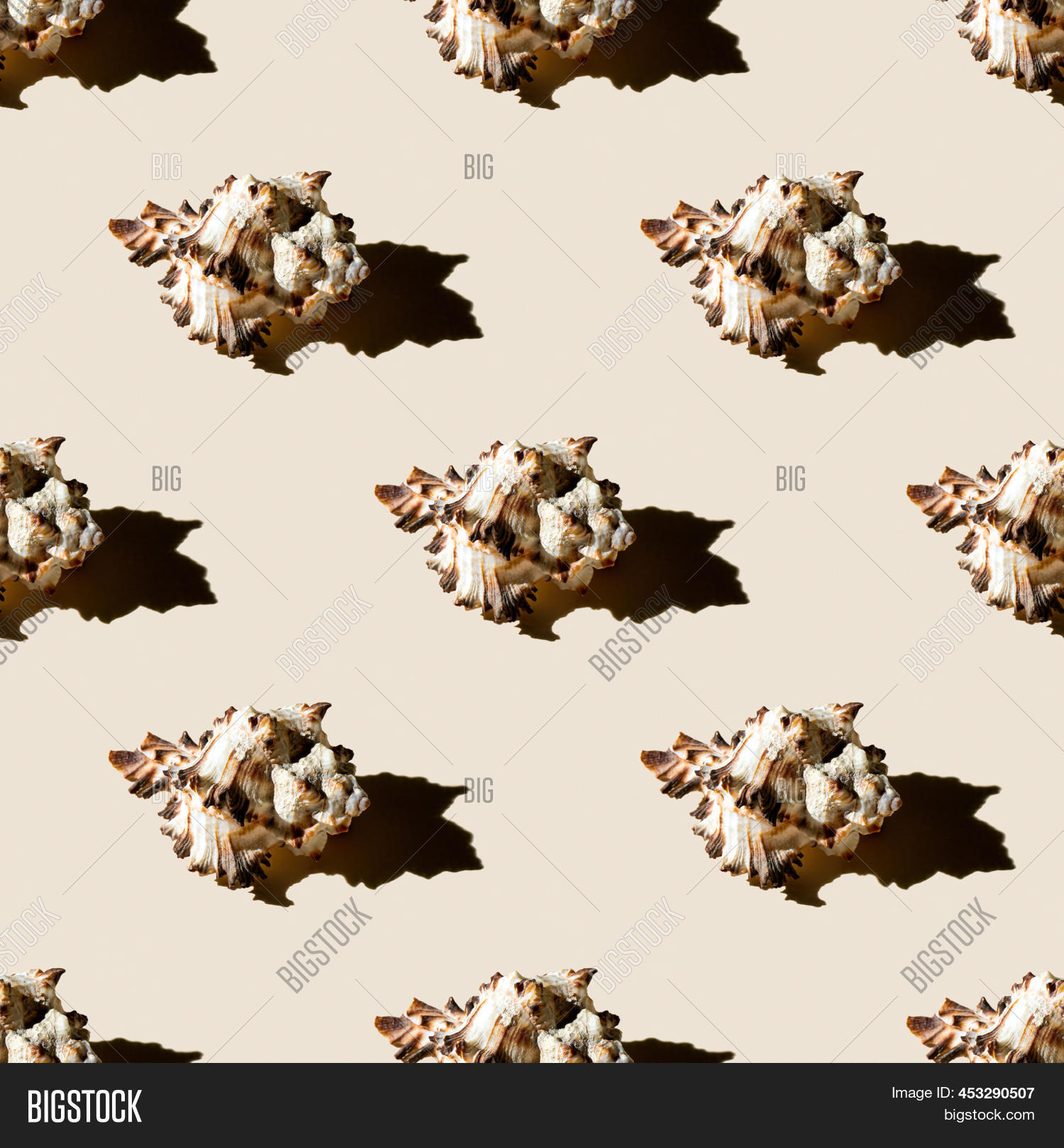 Seamless Pattern Clam Image & Photo (Free Trial) | Bigstock