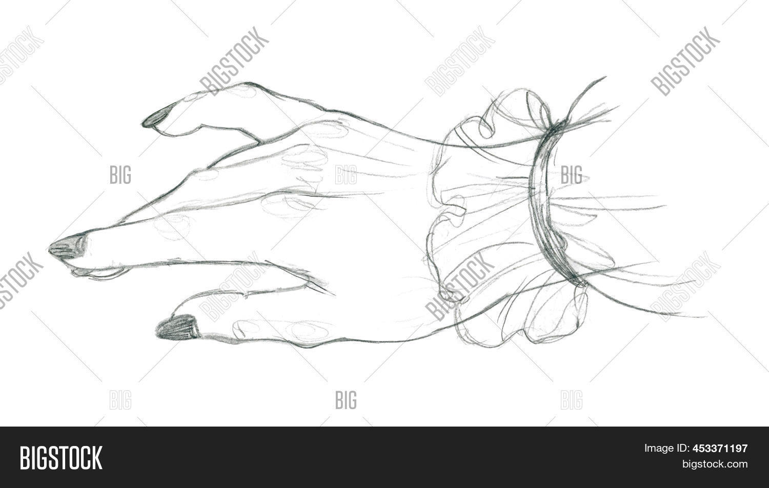 Hand-drawn Graphite Image & Photo (Free Trial) | Bigstock