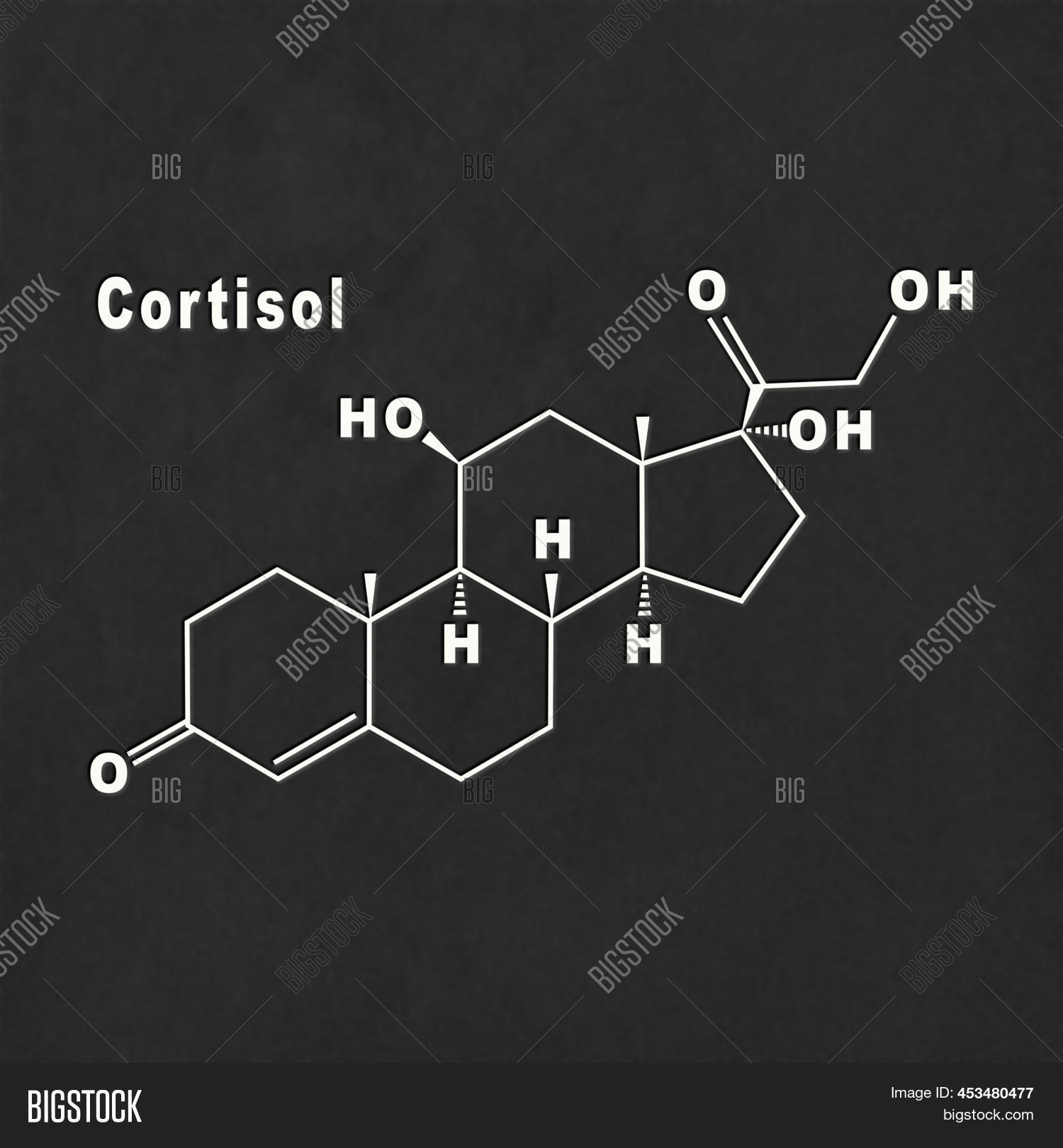 Cortisol Hormone Image & Photo (Free Trial) | Bigstock