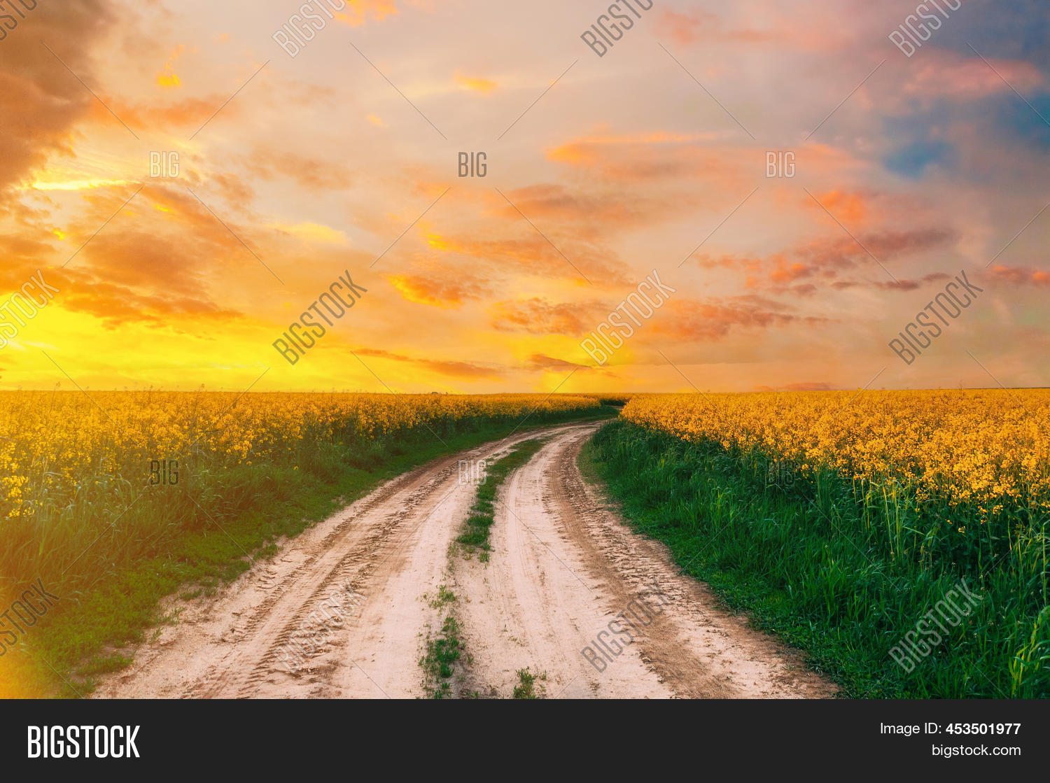 Top Elevated View Image & Photo (Free Trial) | Bigstock