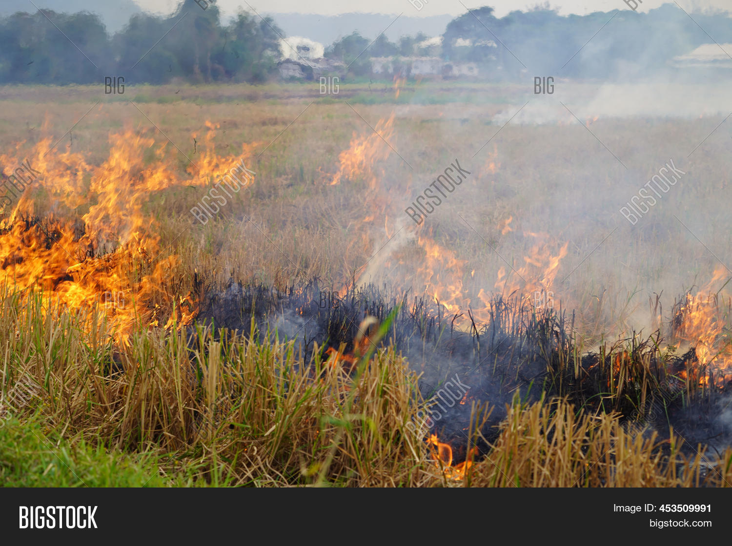 Agricultural Waste Image & Photo (Free Trial) | Bigstock
