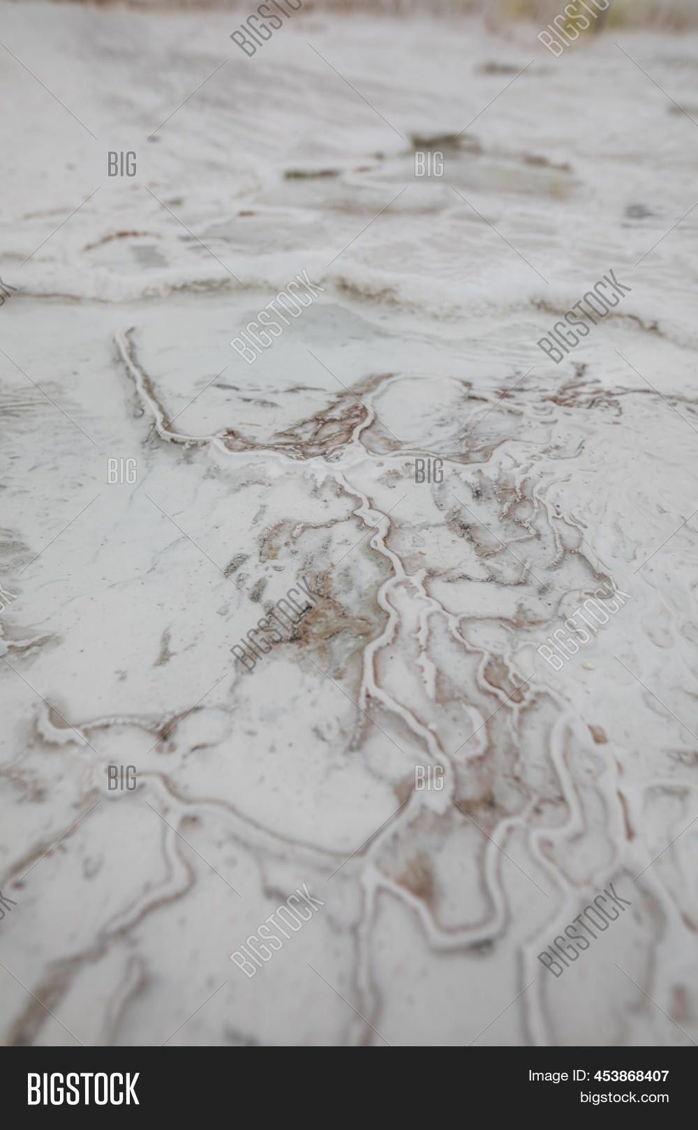 Texture Calcium Image & Photo (Free Trial) | Bigstock