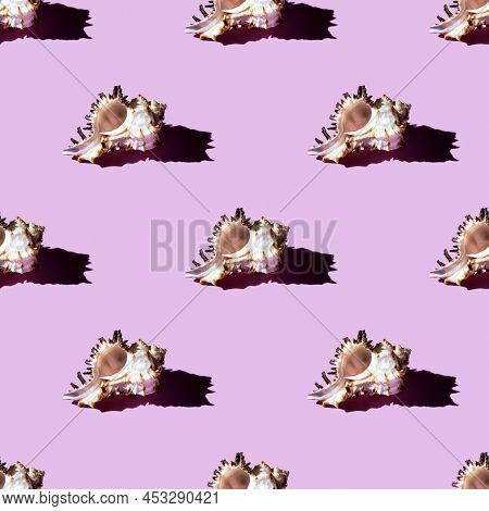 Seamless Pattern Clam Image & Photo (Free Trial) | Bigstock