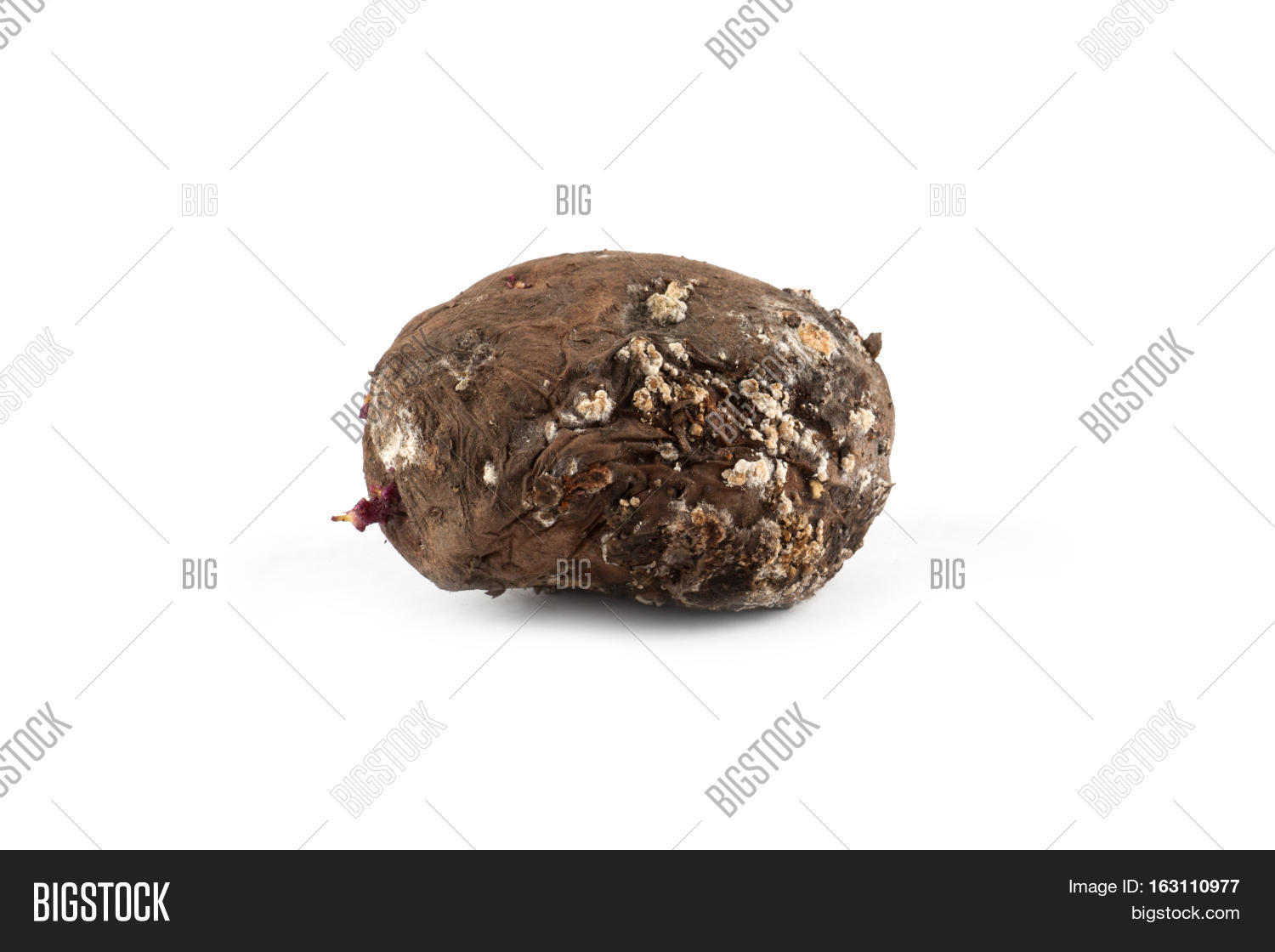 Photo Spoiled Potatoes Image & Photo (Free Trial) | Bigstock