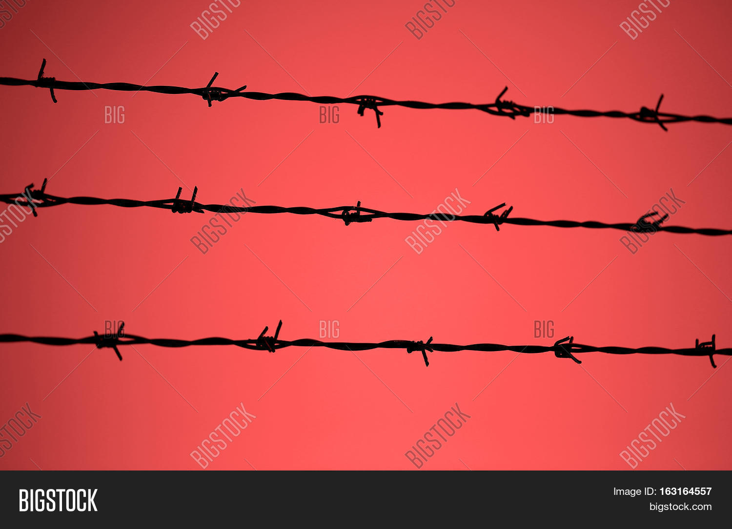 Barbed Wire Blurred Image & Photo (Free Trial) | Bigstock