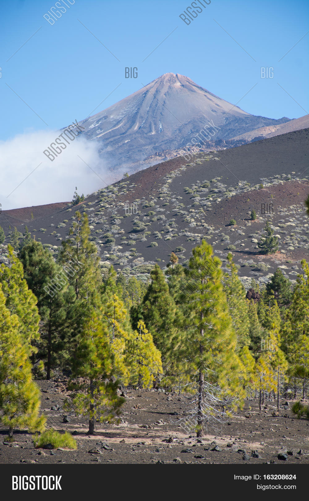 Teide National Park Image & Photo (Free Trial) | Bigstock