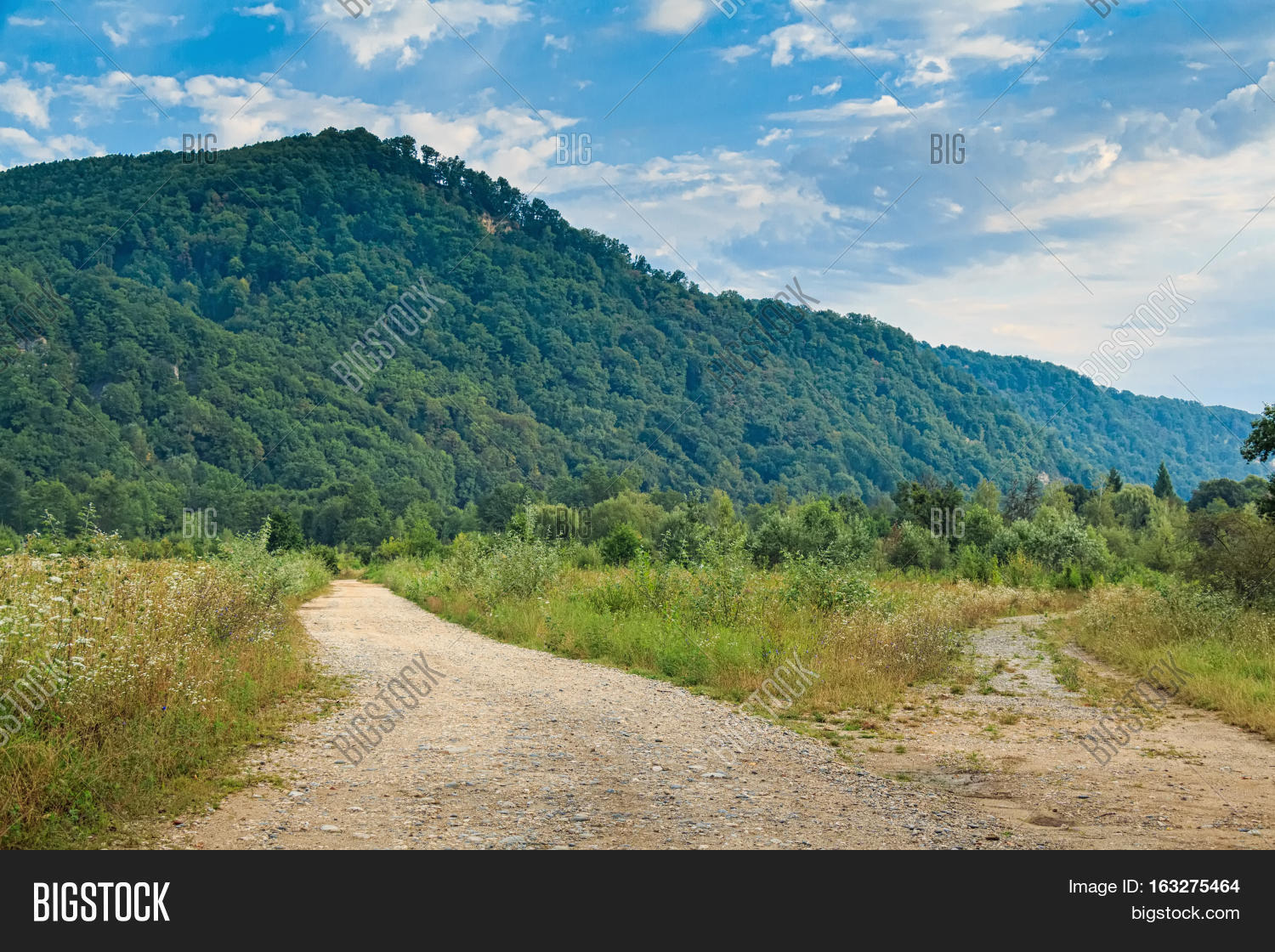 Landscape Subalpine Image & Photo (Free Trial) | Bigstock