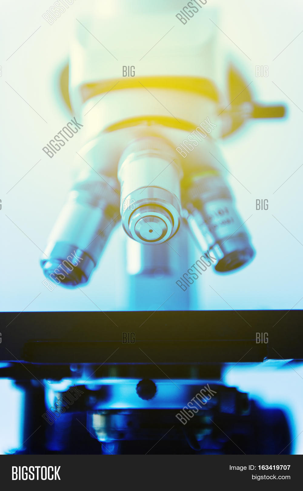 Beautiful Microscope Image & Photo (Free Trial) | Bigstock