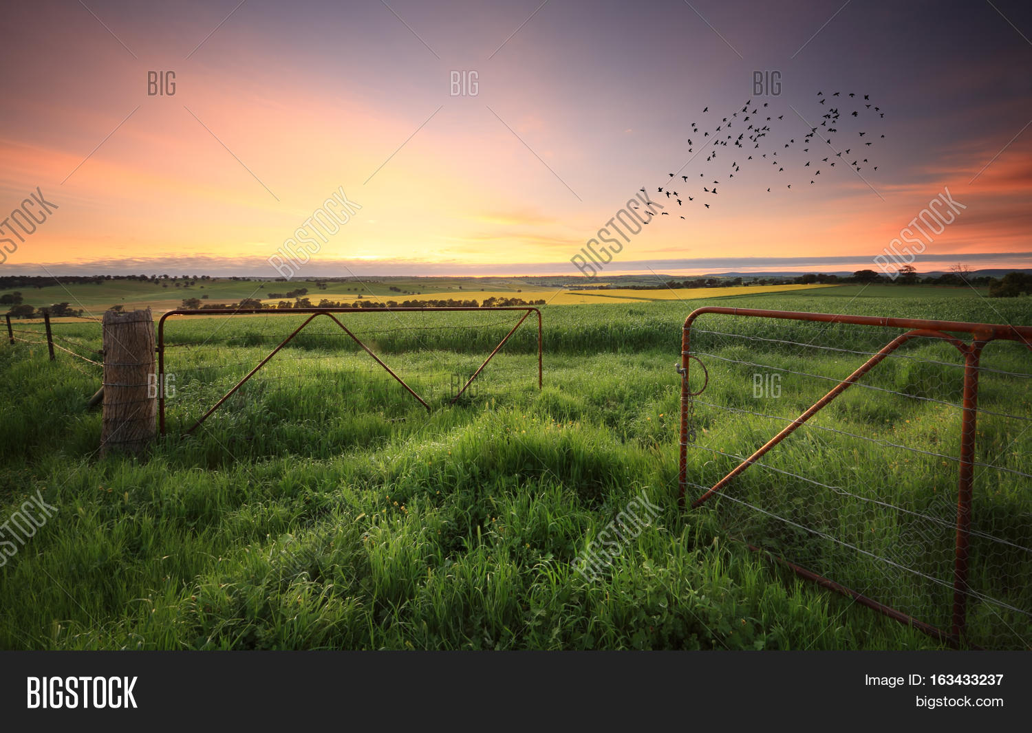 Rusty Gates Open Wheat Image & Photo (Free Trial) | Bigstock