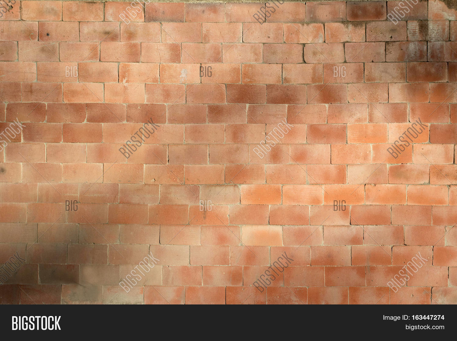 High Resolution Image & Photo (Free Trial) | Bigstock