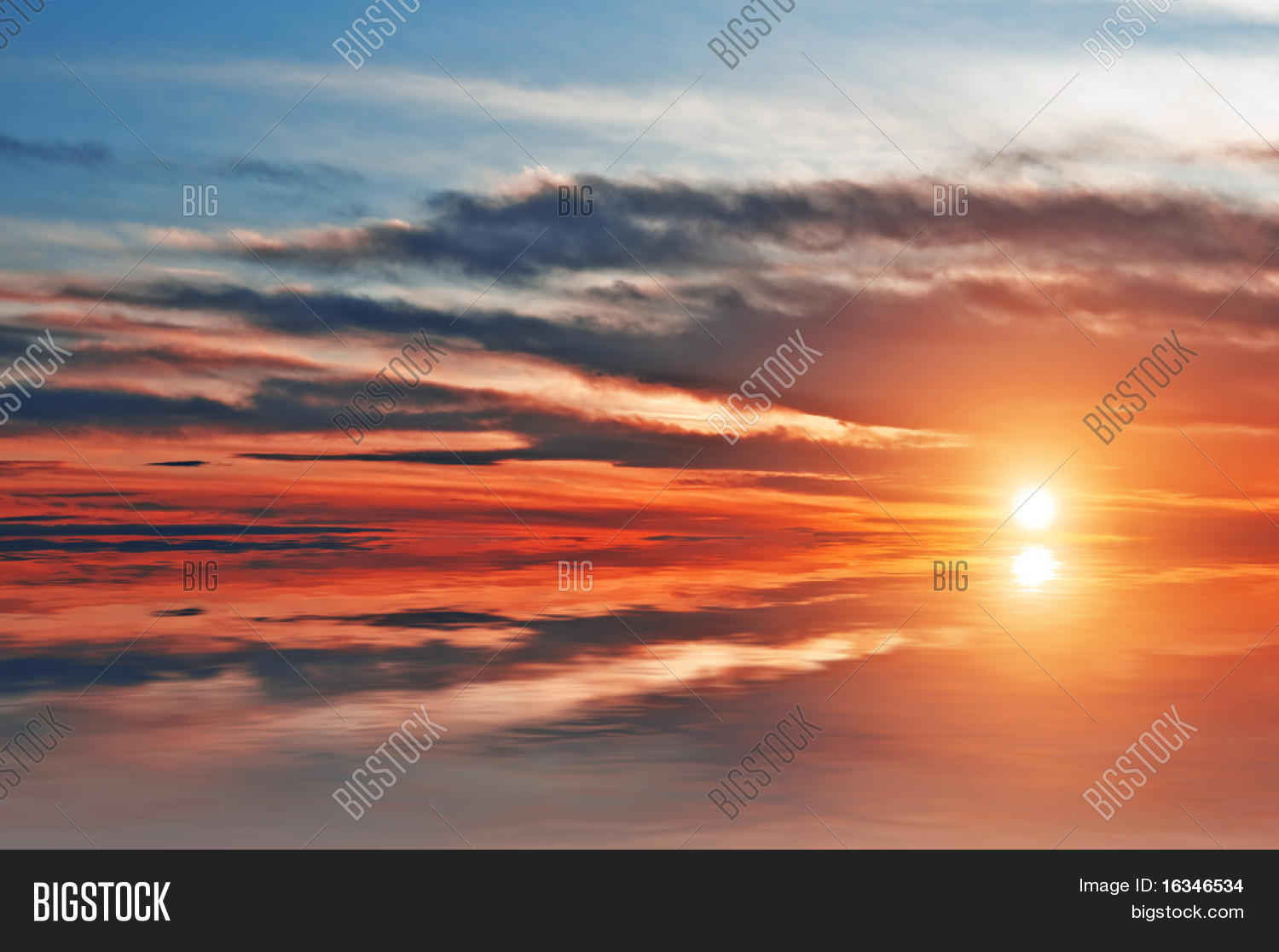 Beautiful Orange Image & Photo (Free Trial) | Bigstock