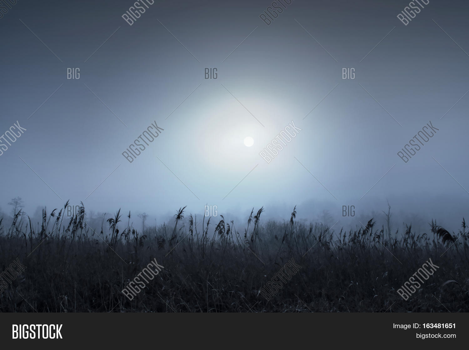 View Sun Behind Fog Image & Photo (Free Trial) | Bigstock