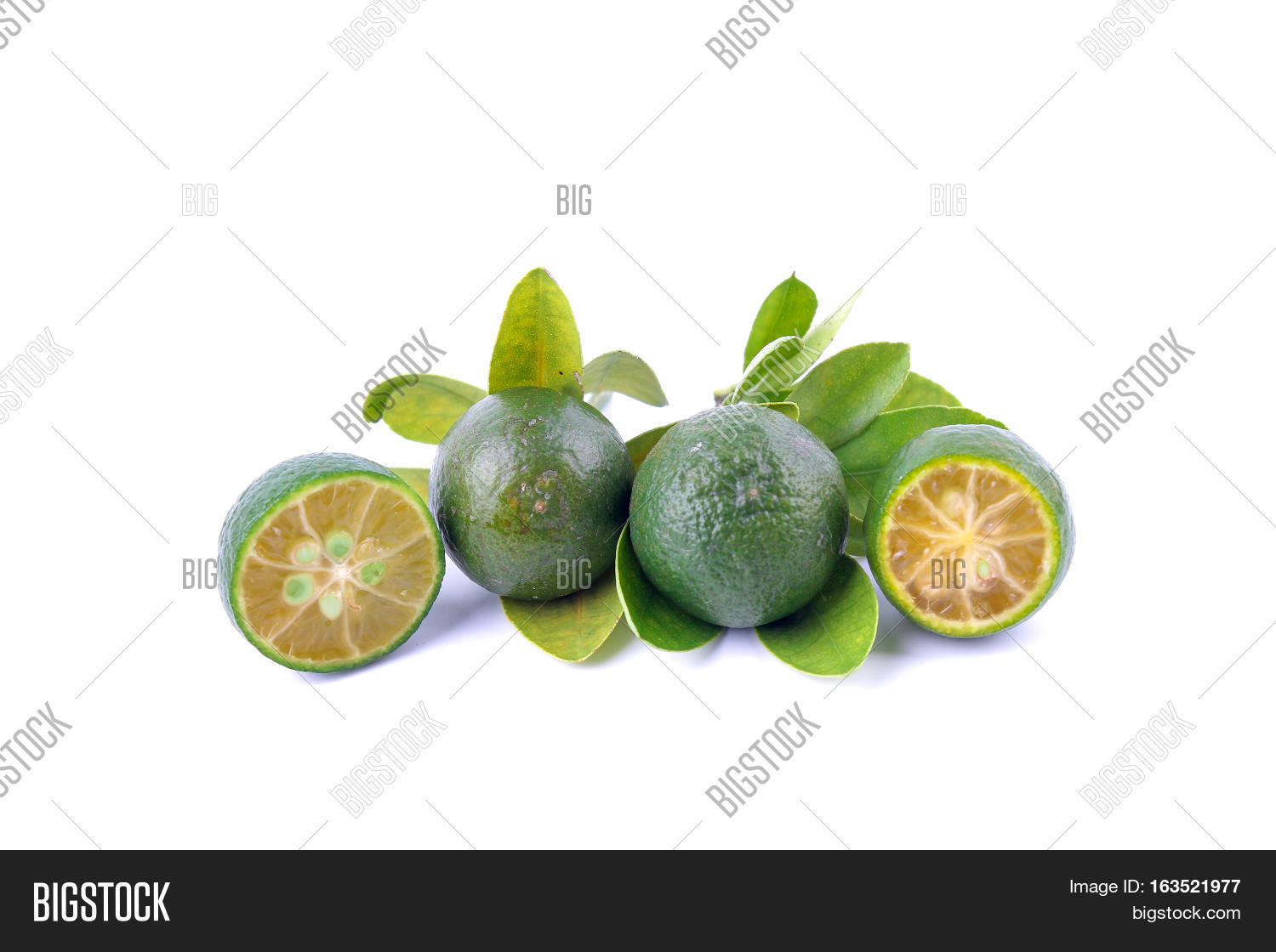 Calamansi Isolated On Image & Photo (Free Trial) | Bigstock