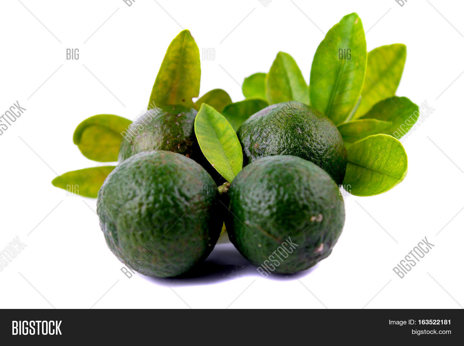 Calamansi Isolated On Image & Photo (Free Trial) | Bigstock