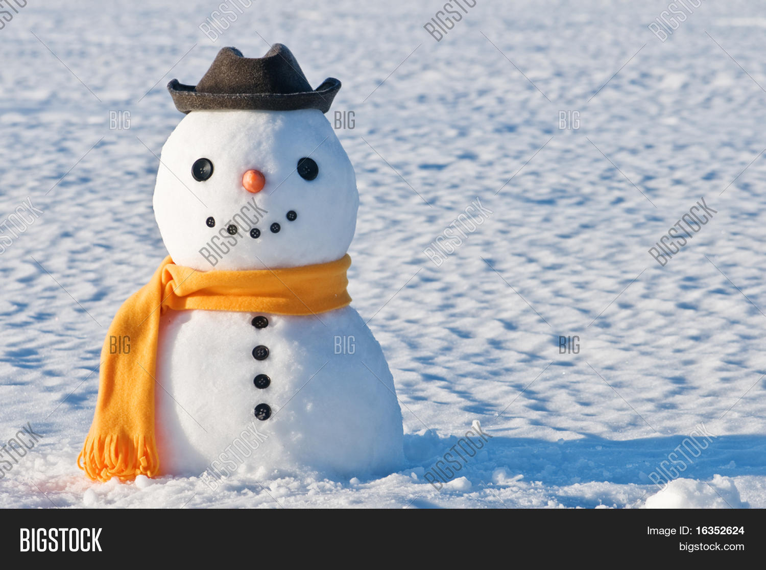Cute Snowman On Snowy Image & Photo (Free Trial) | Bigstock
