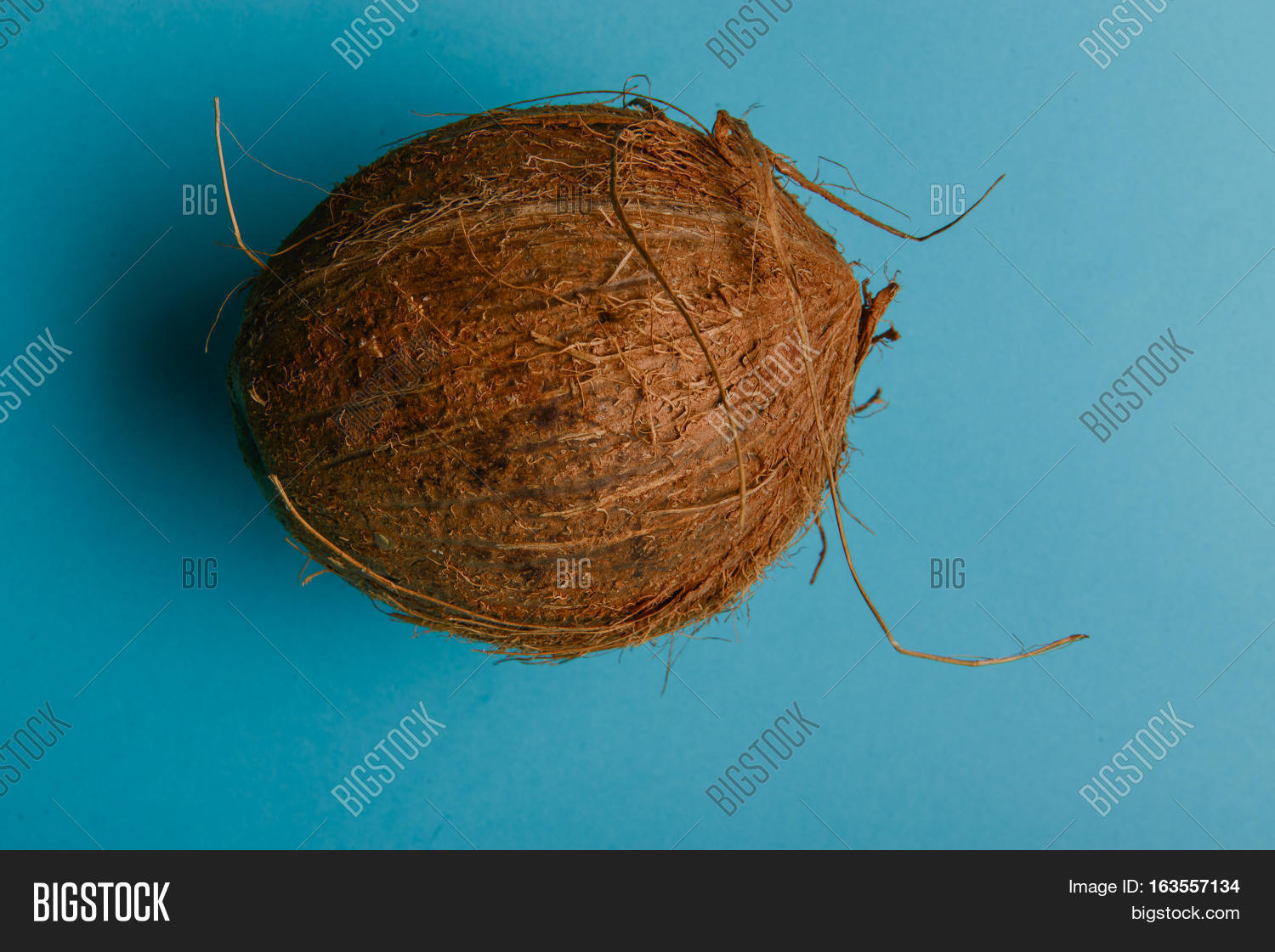 Coconut Isolated On Image & Photo (Free Trial) | Bigstock