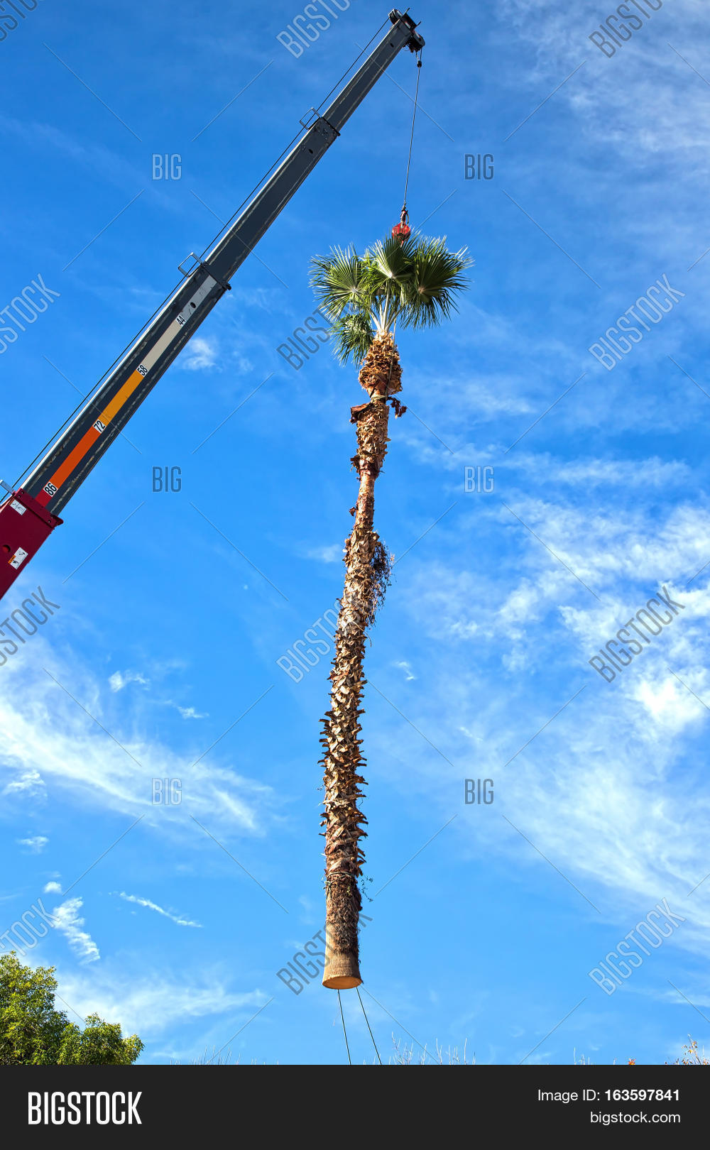 Crane Lifting Removing Image & Photo (Free Trial) | Bigstock