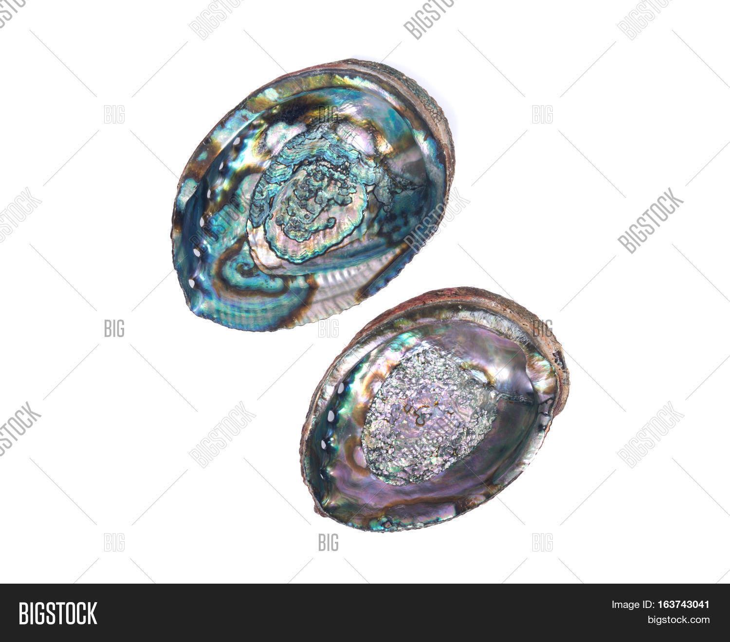 Bright Polished Image & Photo (Free Trial) | Bigstock