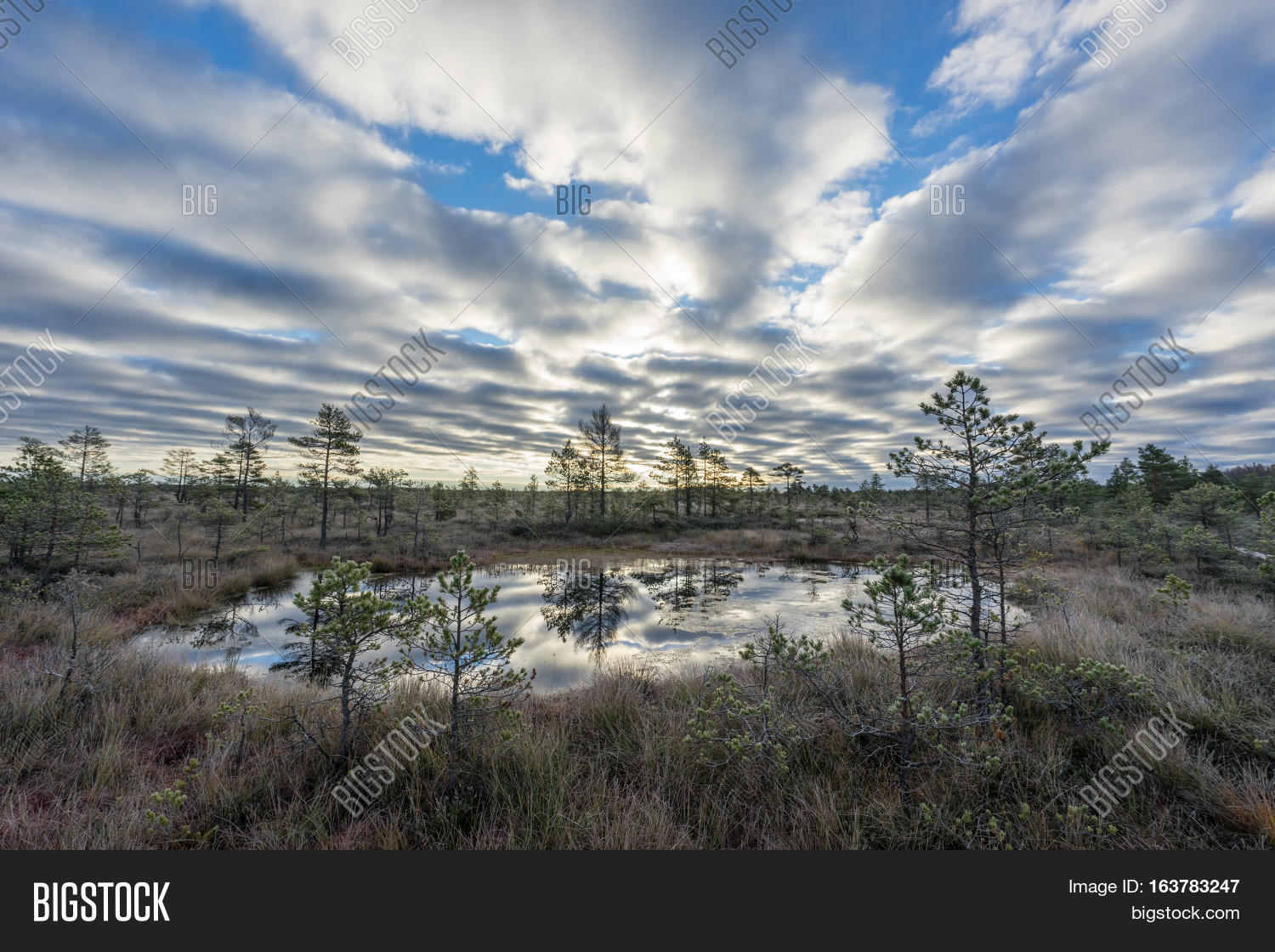 Sunrise Bog. Icy Cold Image & Photo (Free Trial) | Bigstock