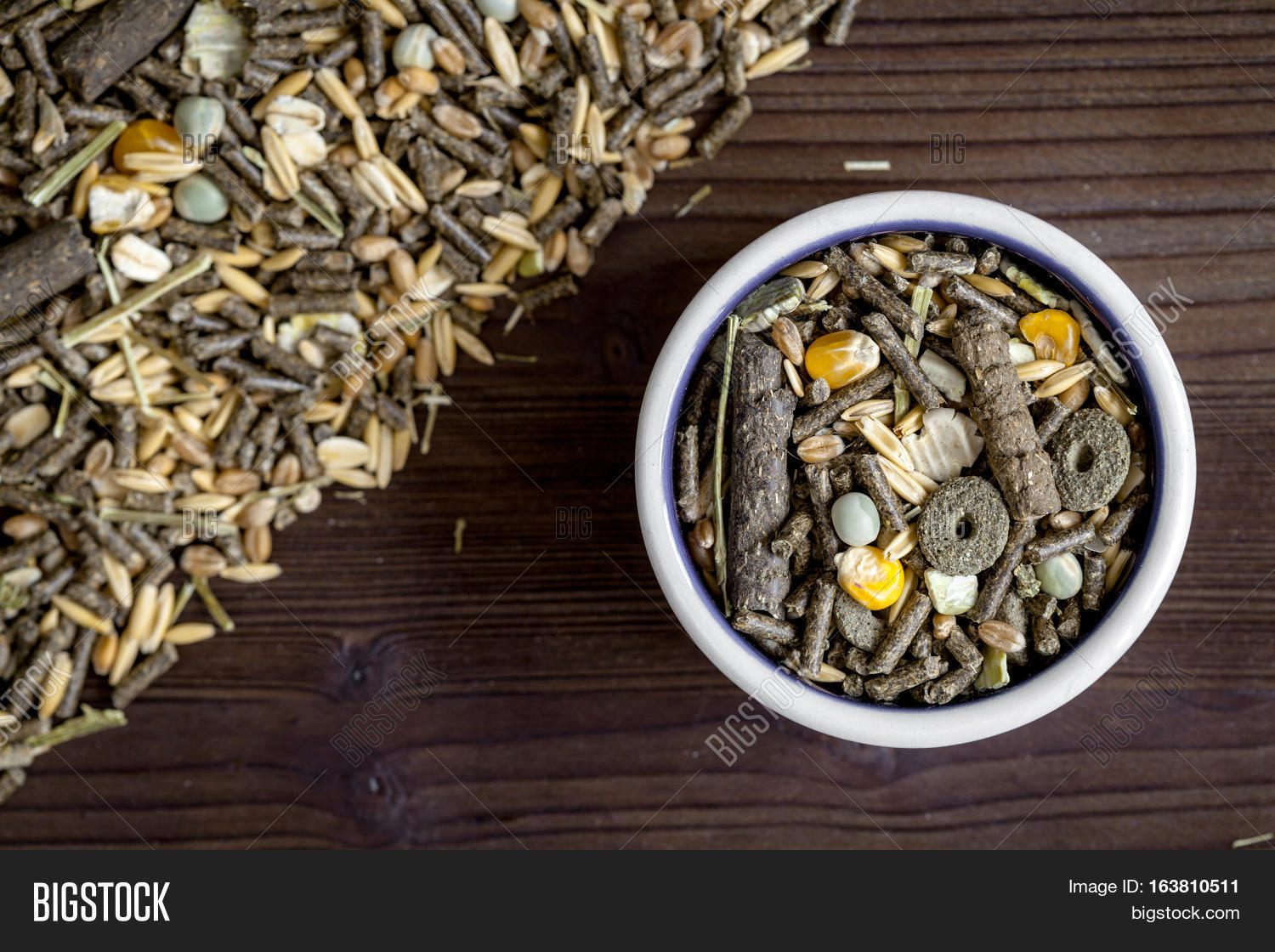Dry Food Rodents Bowl Image & Photo (Free Trial) | Bigstock