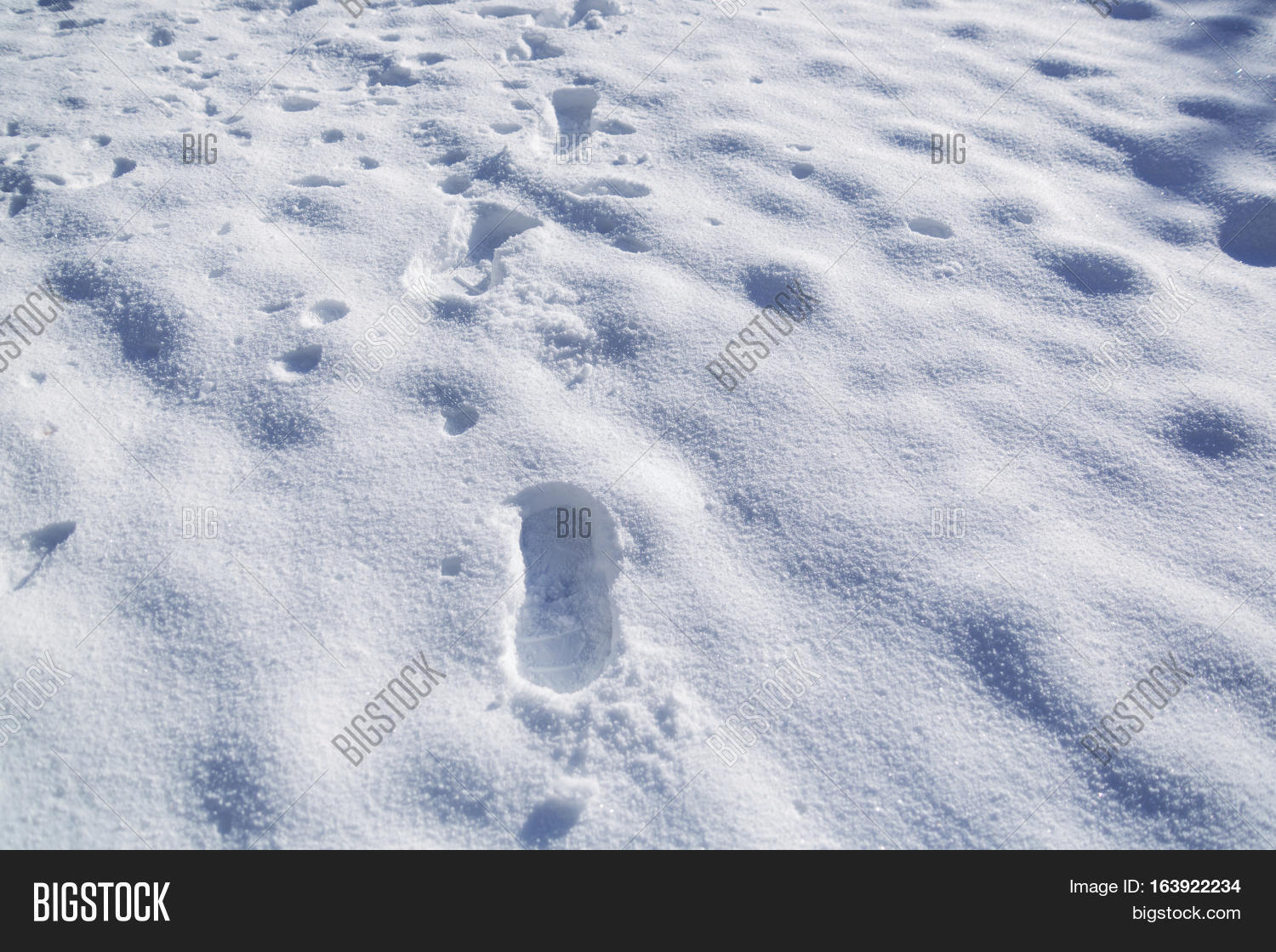 Footprints Snow- Image & Photo (Free Trial) | Bigstock
