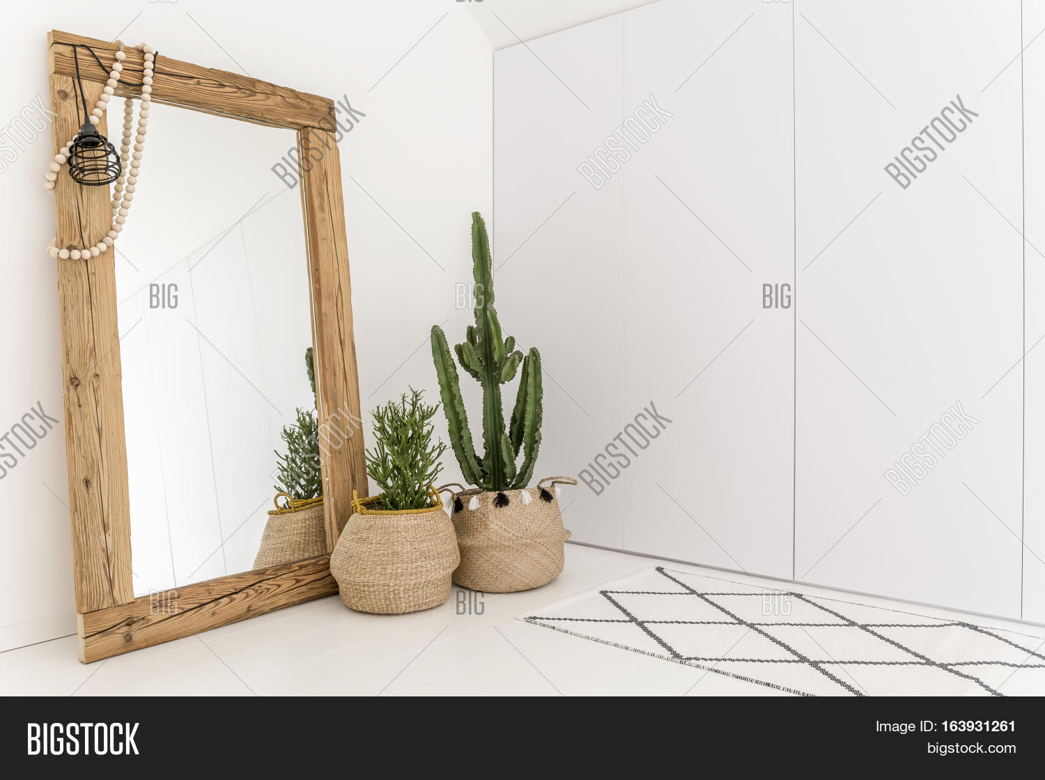 Room Mirror Cactus Image & Photo (Free Trial) | Bigstock