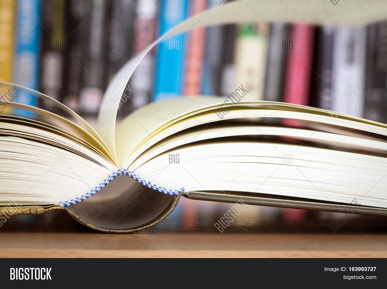 Close Opened Book Page Image & Photo (Free Trial) | Bigstock