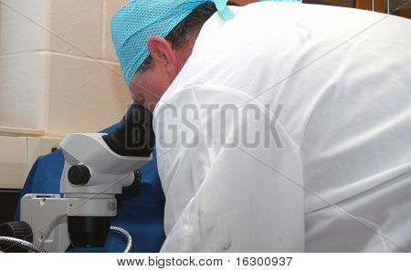 Forensic Expert Image & Photo (Free Trial) | Bigstock