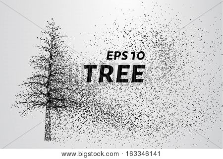 Tree Particles. Tree Vector & Photo (Free Trial) | Bigstock