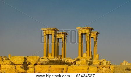 Panorama Palmyra Image & Photo (Free Trial) | Bigstock