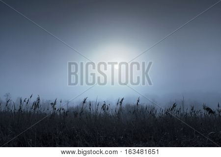 View Sun Behind Fog Image & Photo (Free Trial) | Bigstock