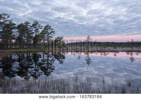 Sunrise Bog. Icy Cold Image & Photo (Free Trial) | Bigstock