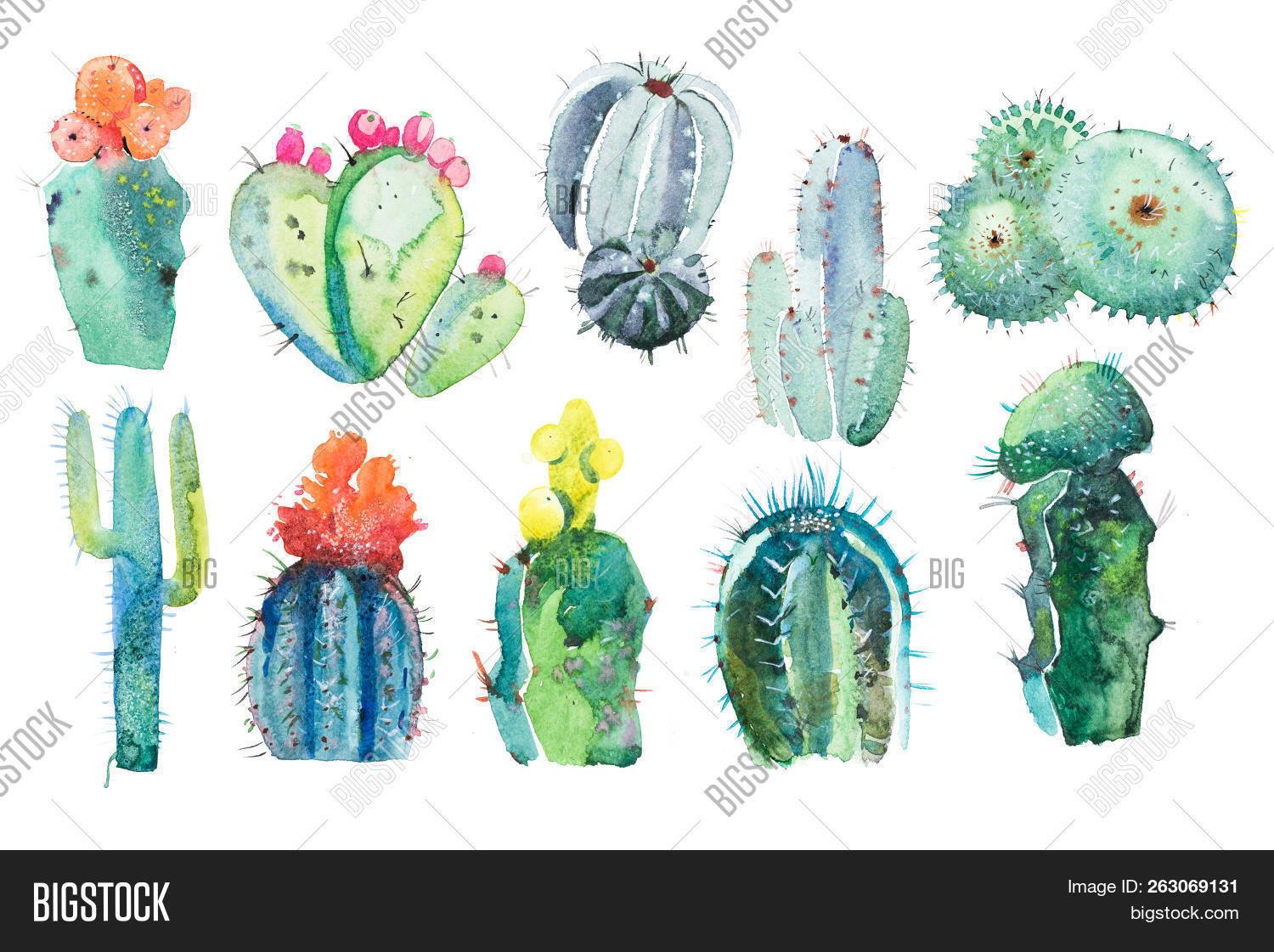 Watercolor Hand Drawn Image & Photo (Free Trial) | Bigstock