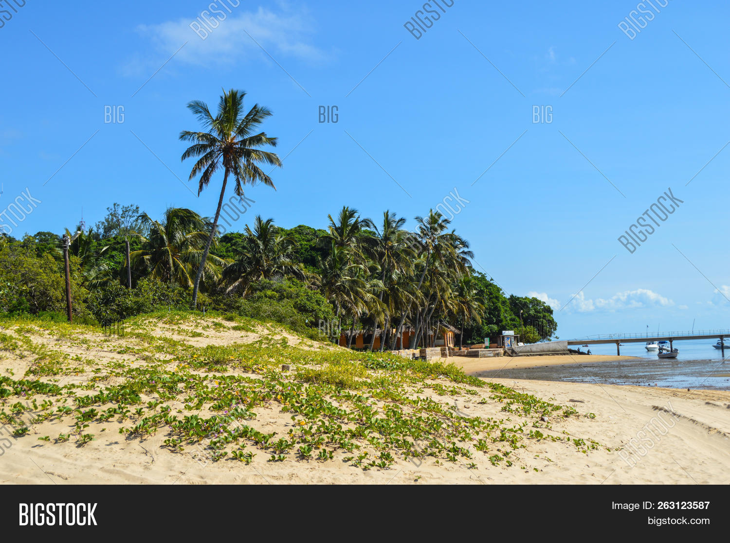 Inhaca Island Small Image & Photo (Free Trial) | Bigstock