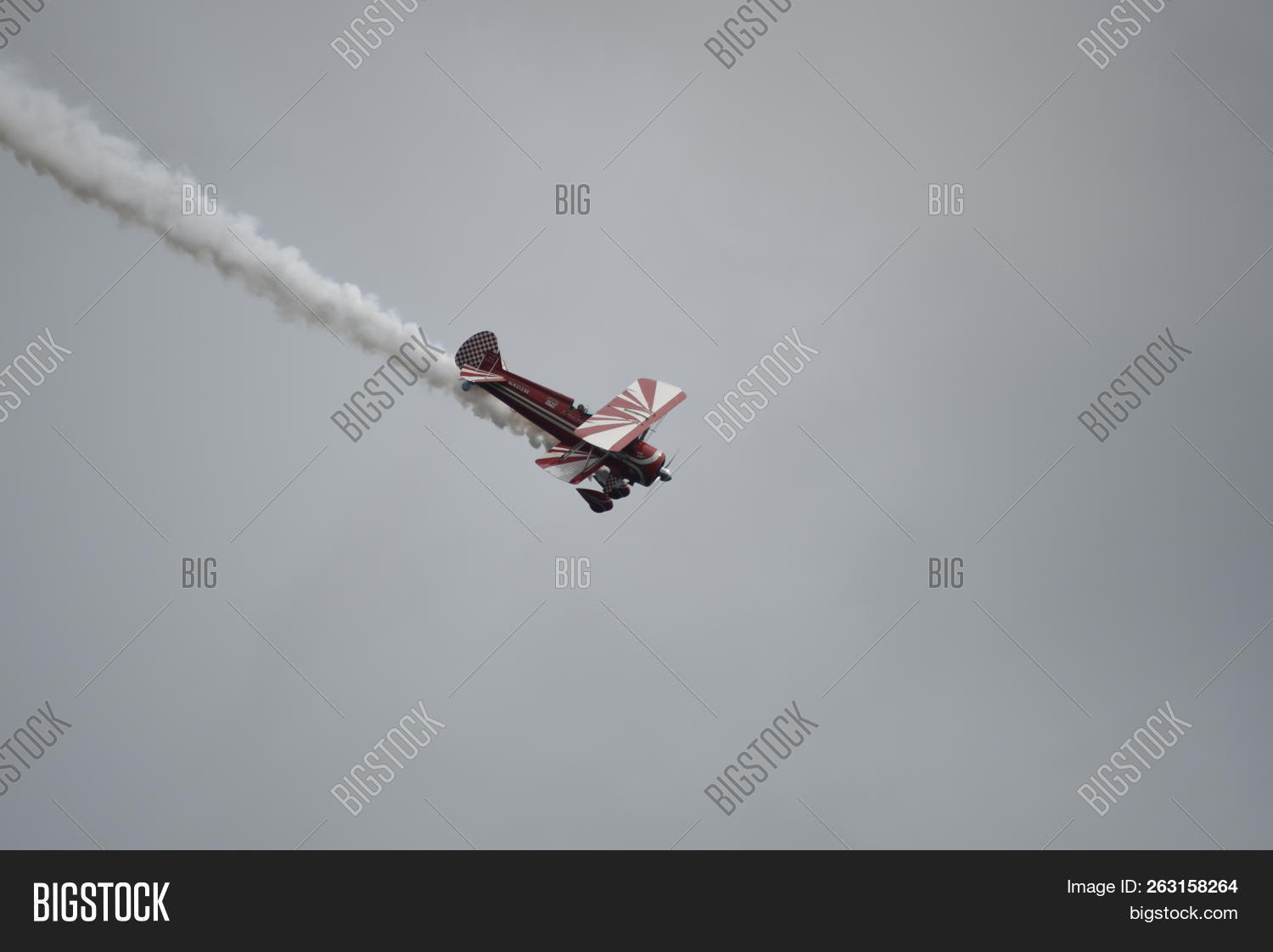 Susan Dacy Super Image & Photo (Free Trial) | Bigstock