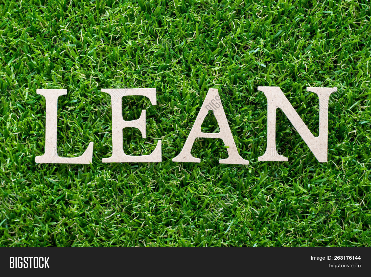 Wood Letter Word Lean Image & Photo (Free Trial) | Bigstock