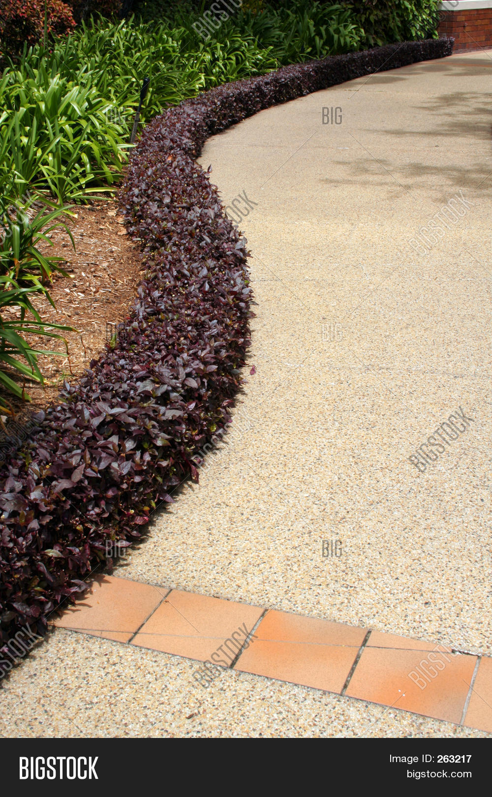 Winding Path Image & Photo (Free Trial) | Bigstock