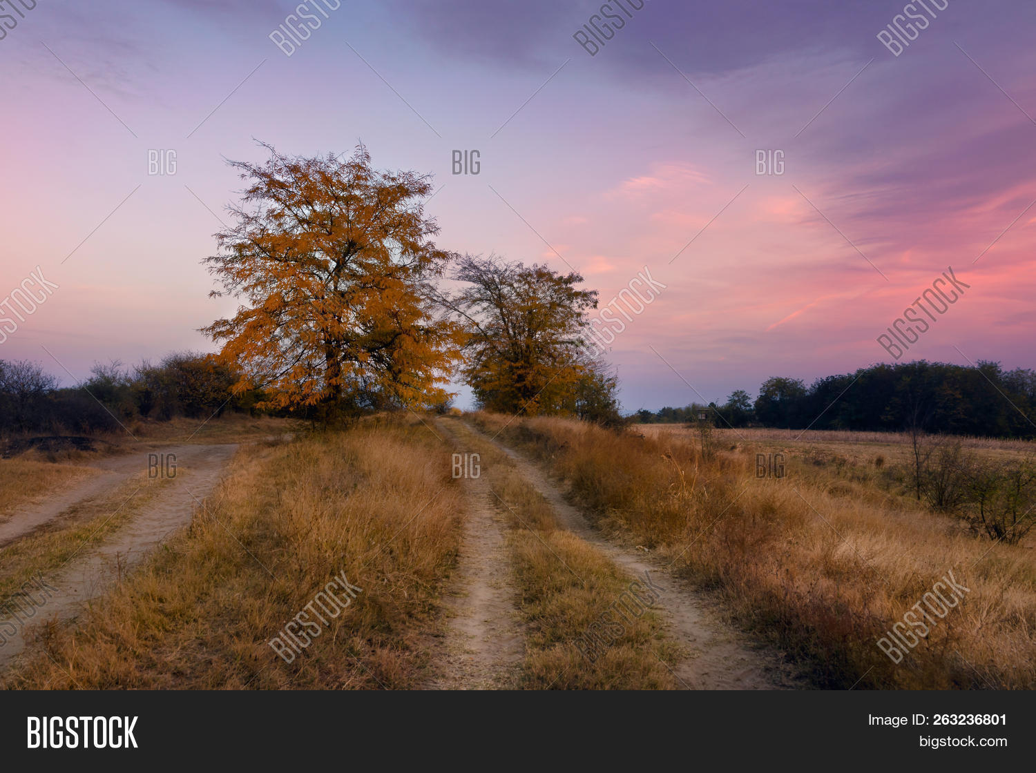Sunset Meadow Image & Photo (Free Trial) | Bigstock