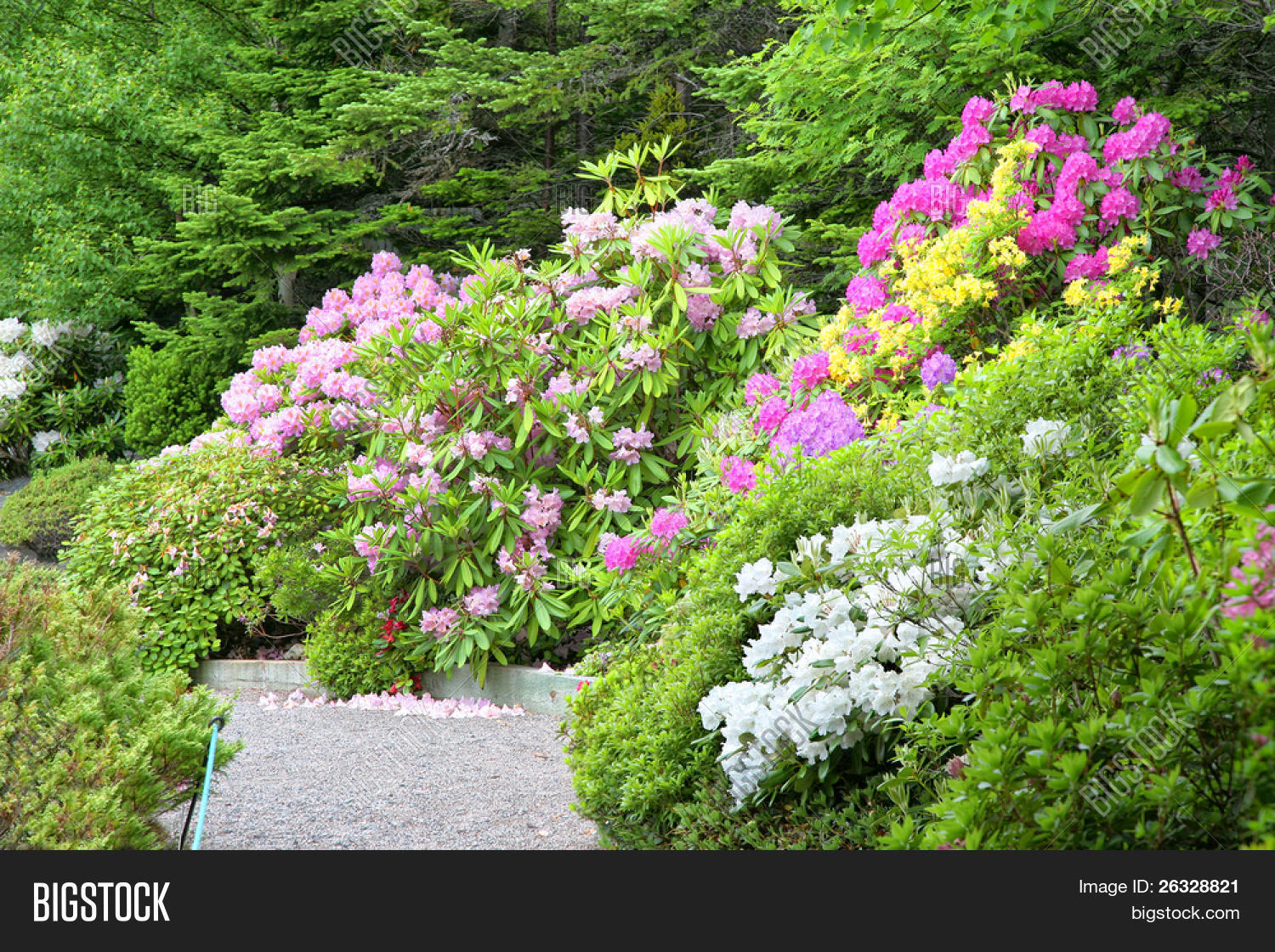 Path Goes Through Image & Photo (Free Trial) | Bigstock