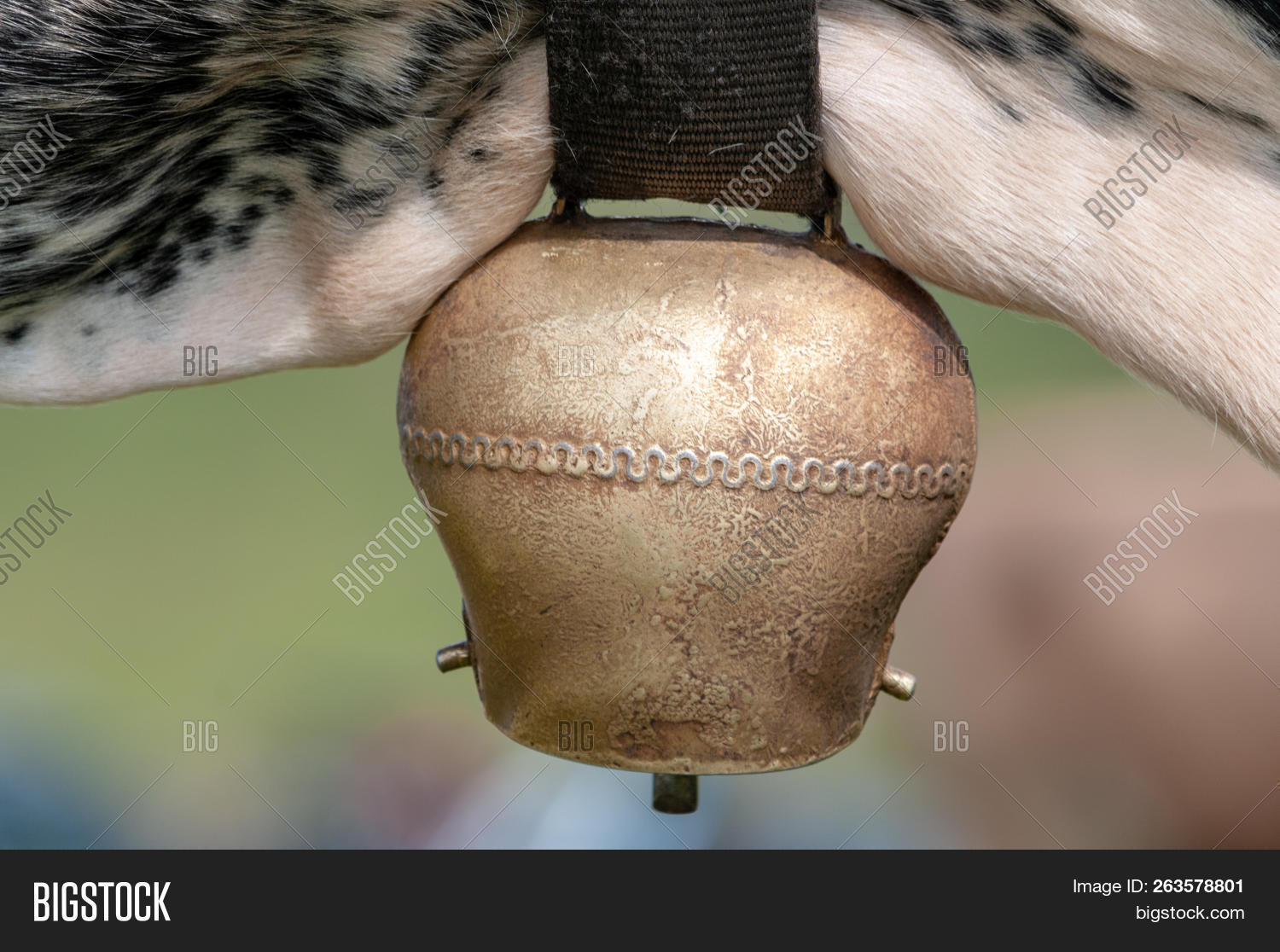 Close- Traditional Image & Photo (Free Trial) | Bigstock