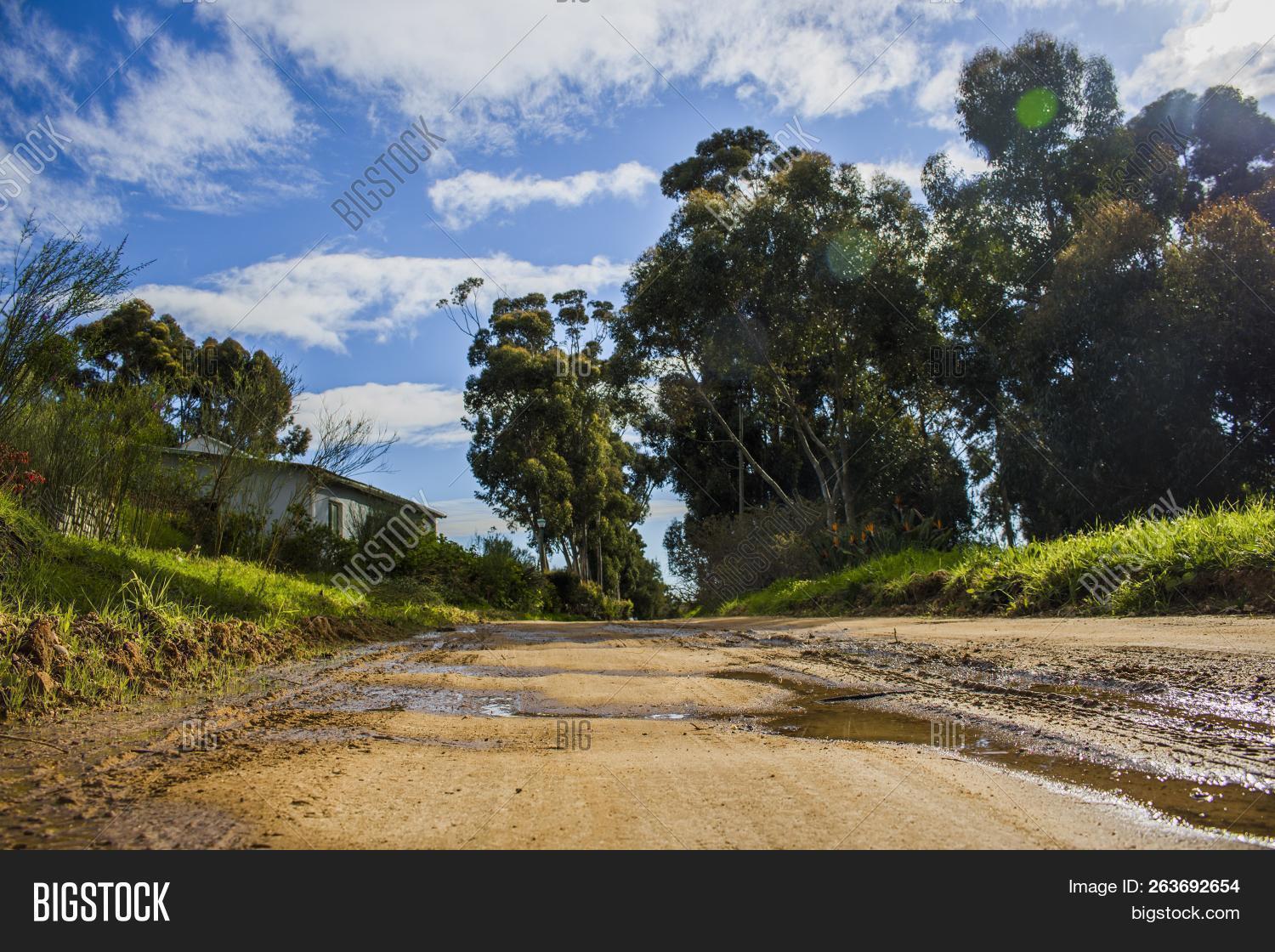 Wet Rural Dirt Road Image & Photo (Free Trial) | Bigstock