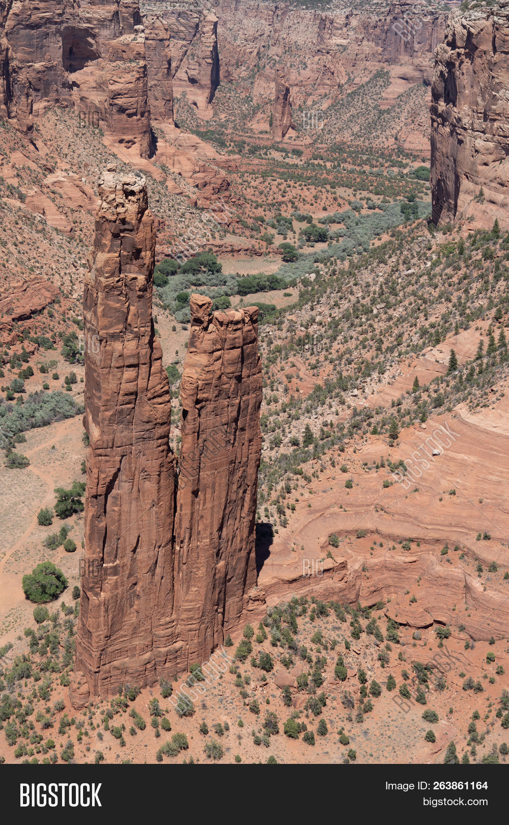 Portrait View Spider Image & Photo (Free Trial) | Bigstock
