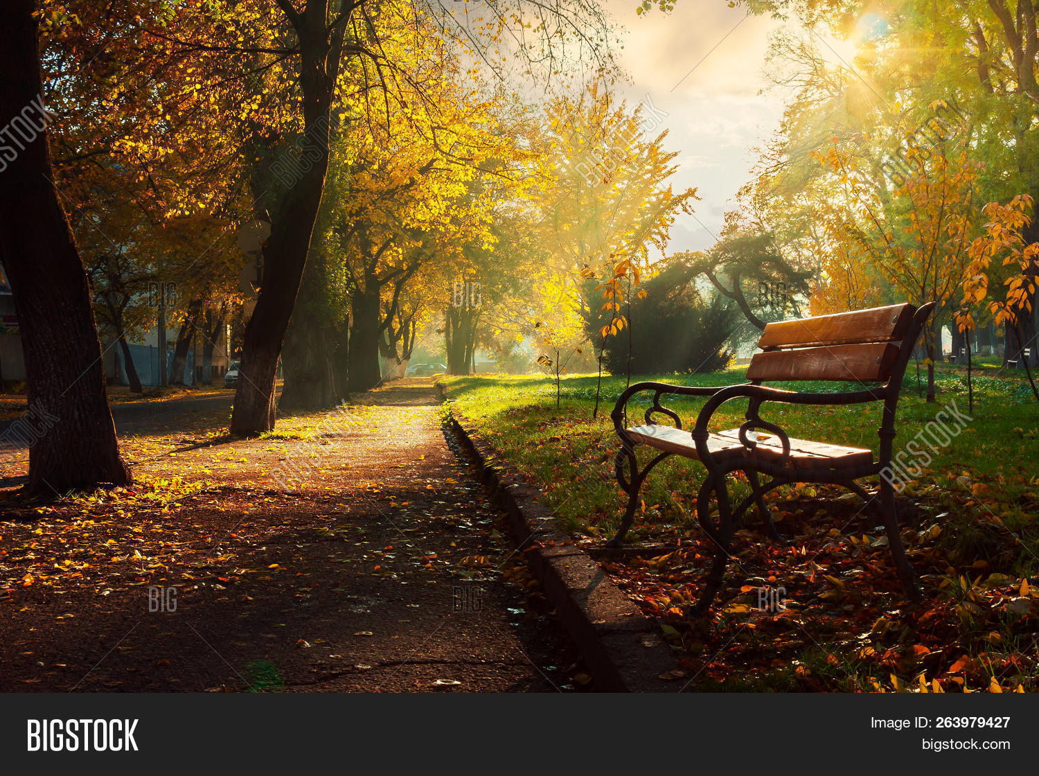 Beautiful Morning Scenery