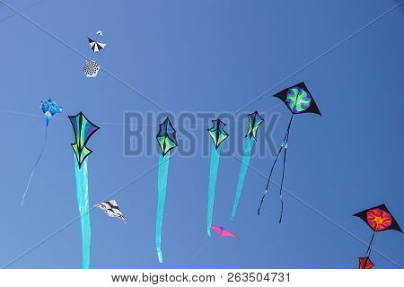 Big Colorful Kite Image & Photo (Free Trial) | Bigstock