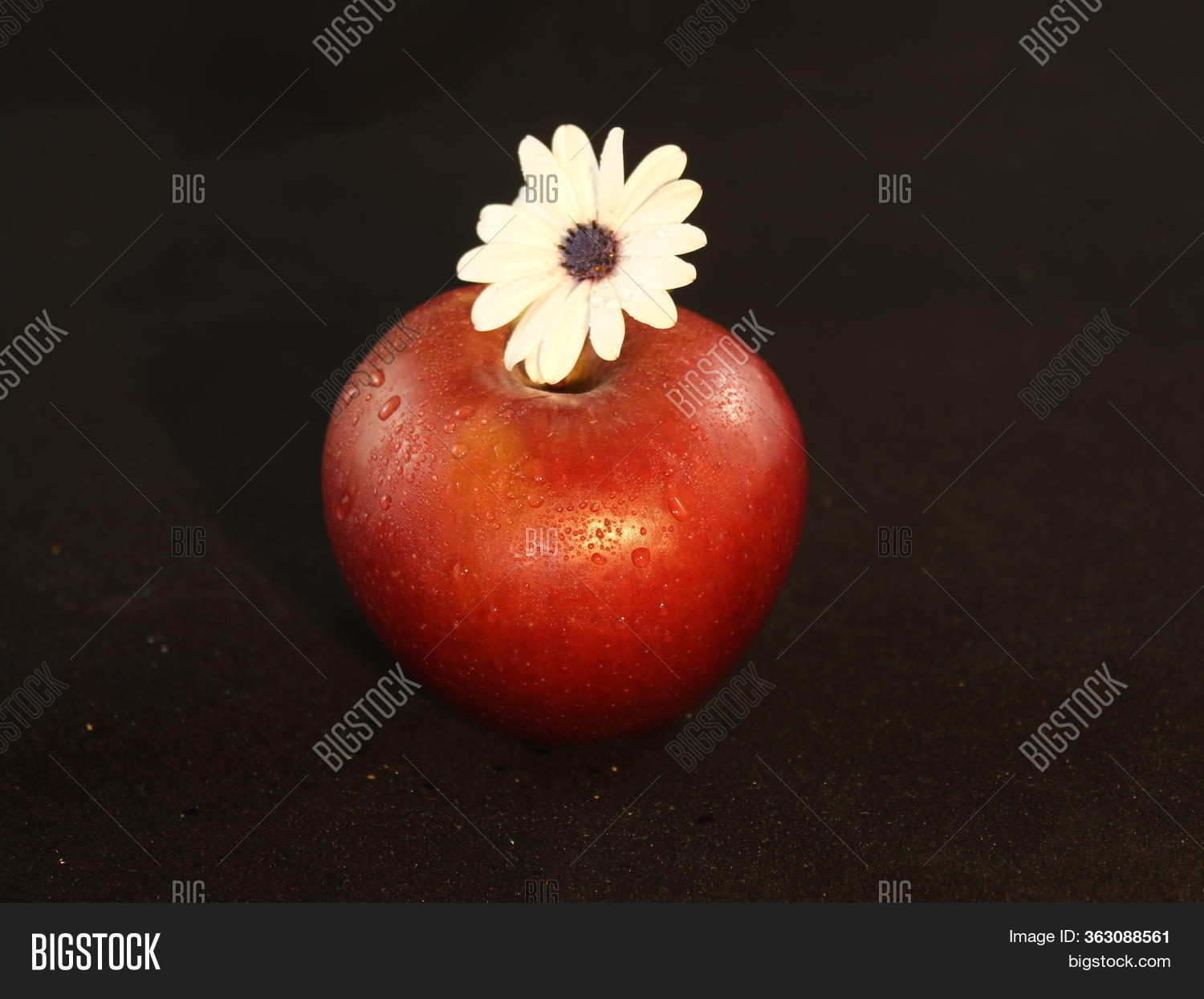 Red Apple Aroma Flower Image & Photo (Free Trial) | Bigstock