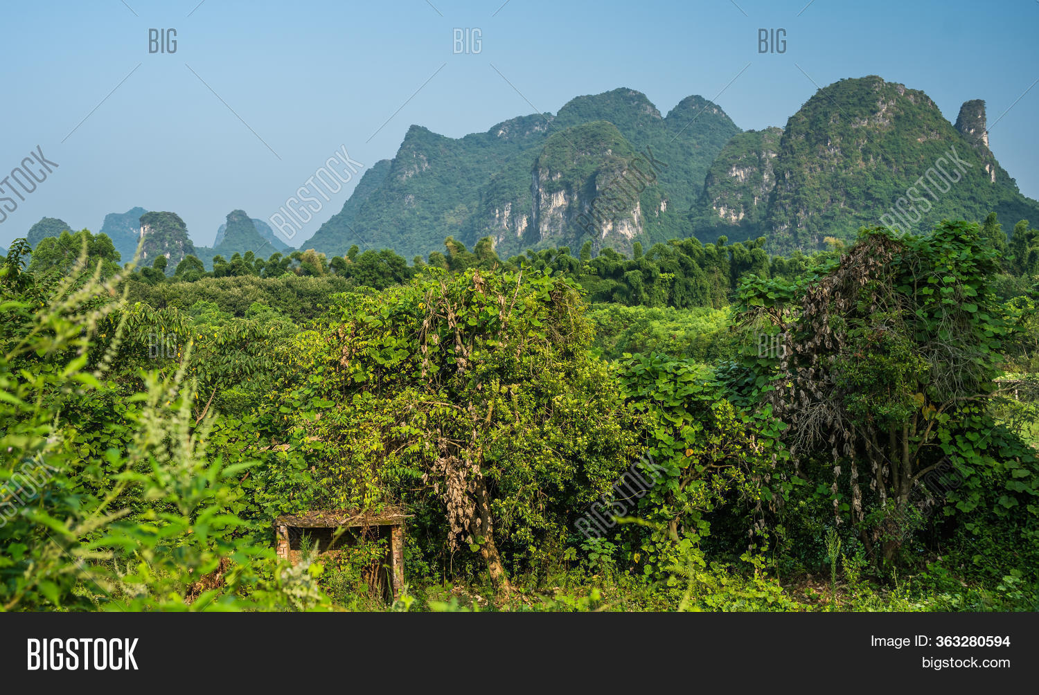 Beautiful Green, Lush Image & Photo (Free Trial) | Bigstock