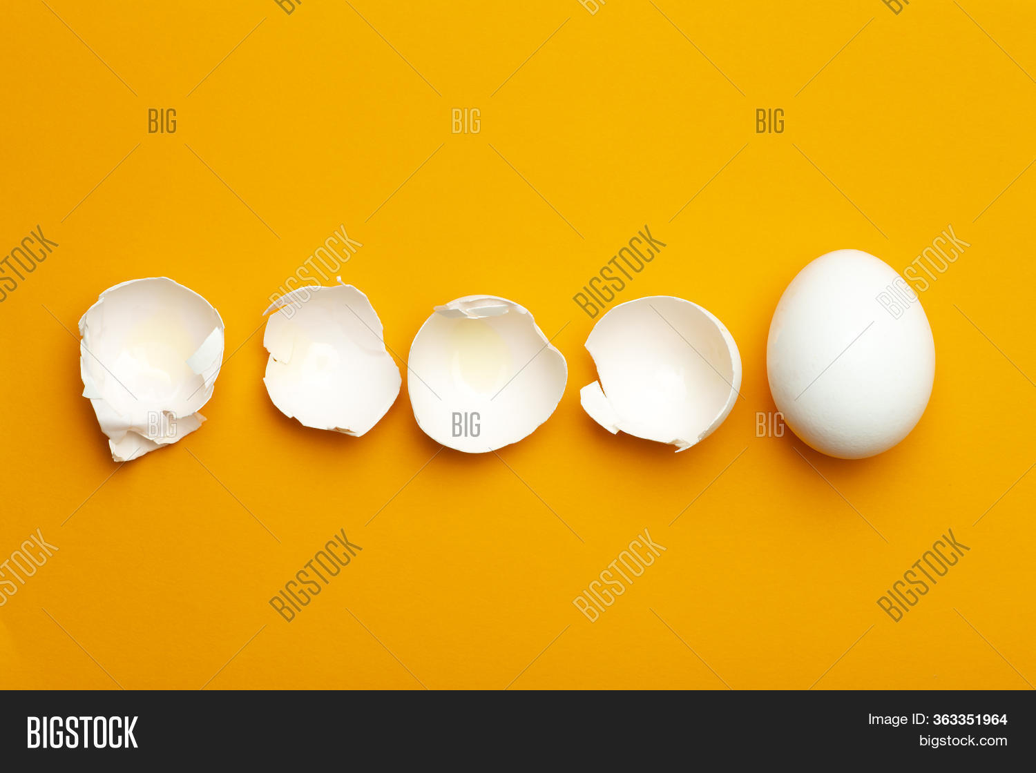 Egg Eggshell On Image & Photo (Free Trial) | Bigstock