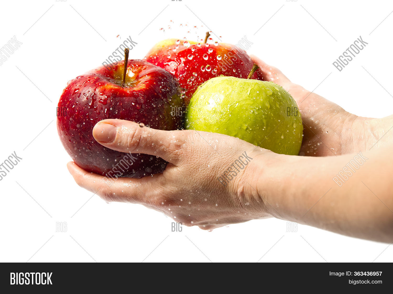 Apples Hands Under Image & Photo (Free Trial) | Bigstock